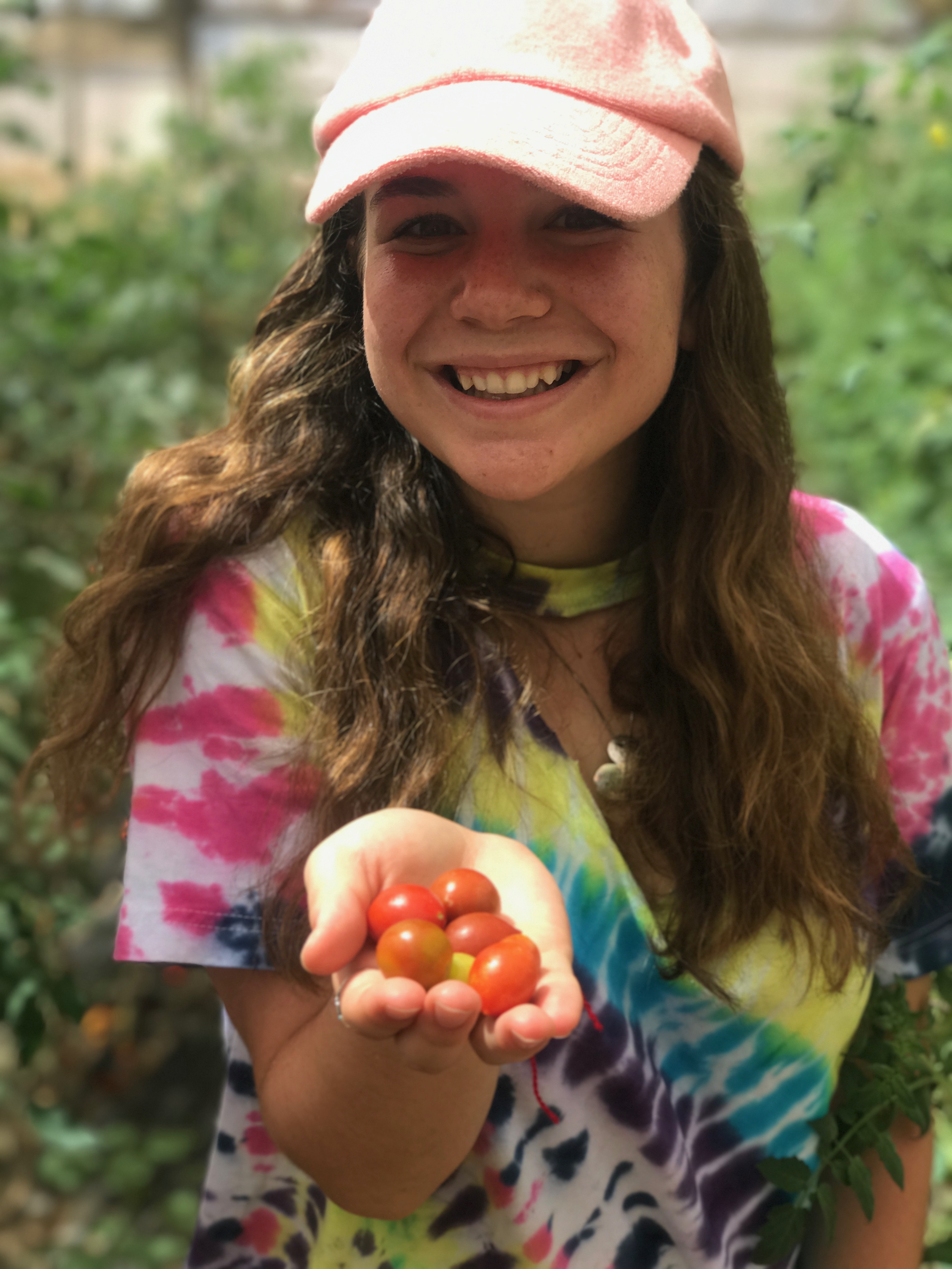 Yom NCSY - Israel ID